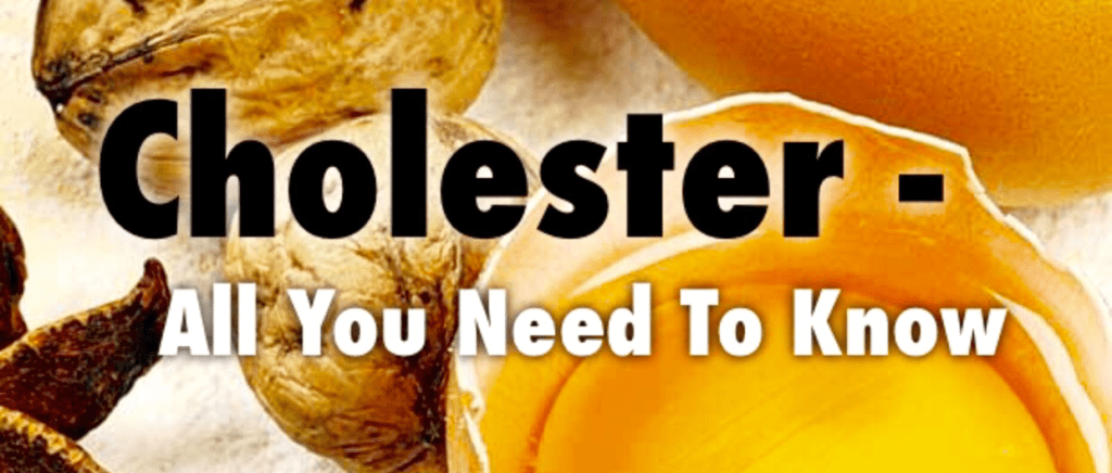 Cholester-All You Need To Know – Unlearn-Rethink